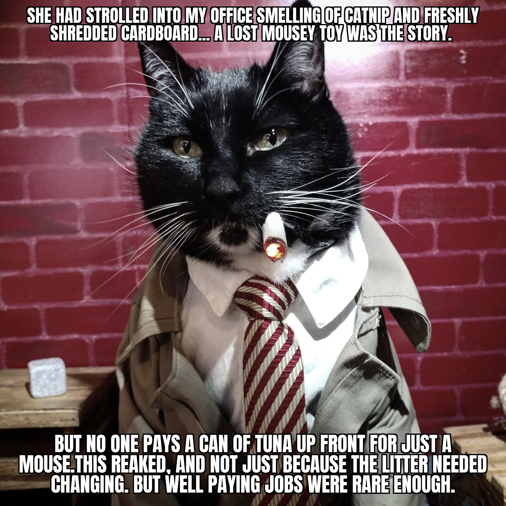 Business Cat Memes Red Dot