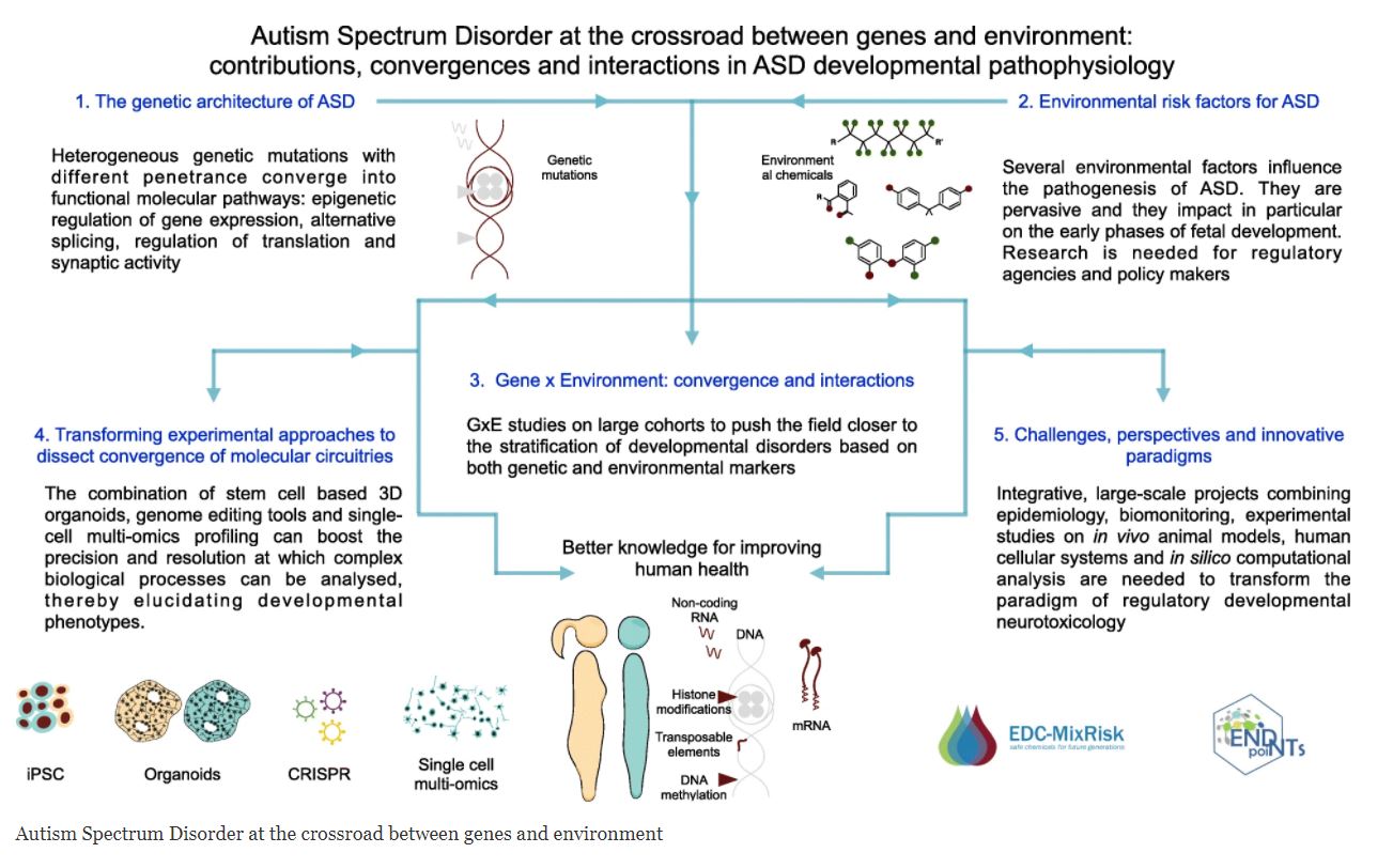 Environmental Autism