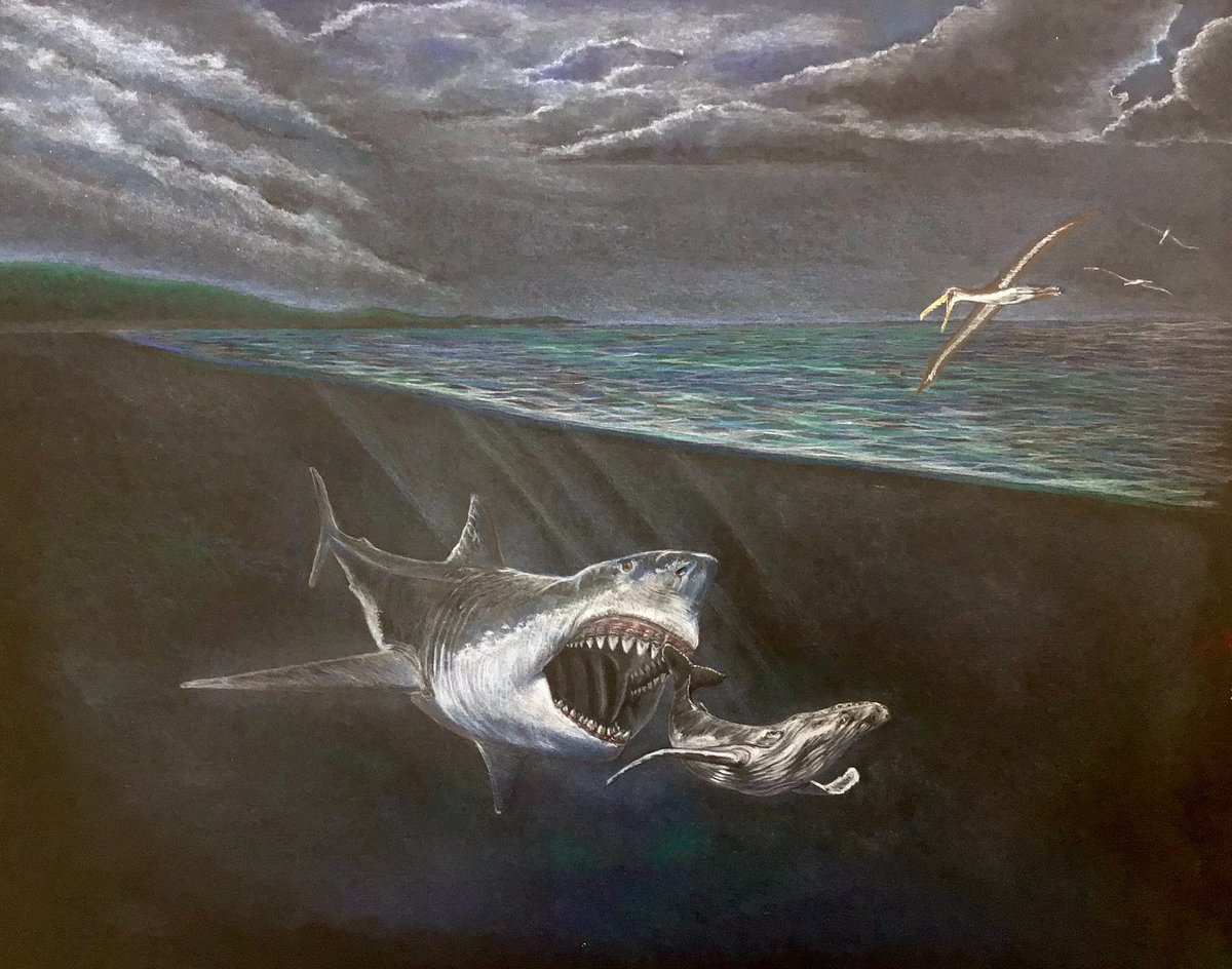 Pimiento Research Group (@PimientoGroup) さんのイラスト・マンガ作品まとめ (1 件) - Twoucan