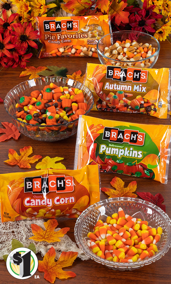 Dollar Tree Store Candy