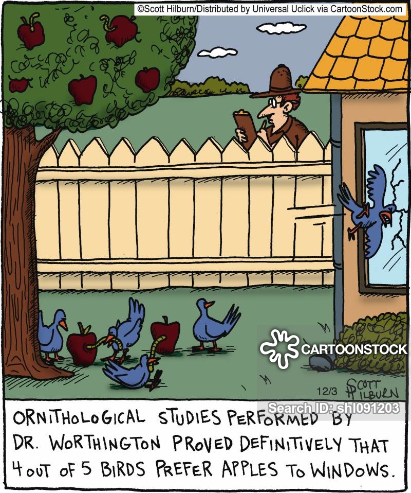 Naturalistic Observation