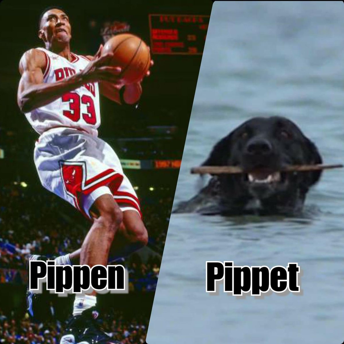 The Daily Jaws @thedailyjaws Timeline, The Visualized Twitter (Analytics)