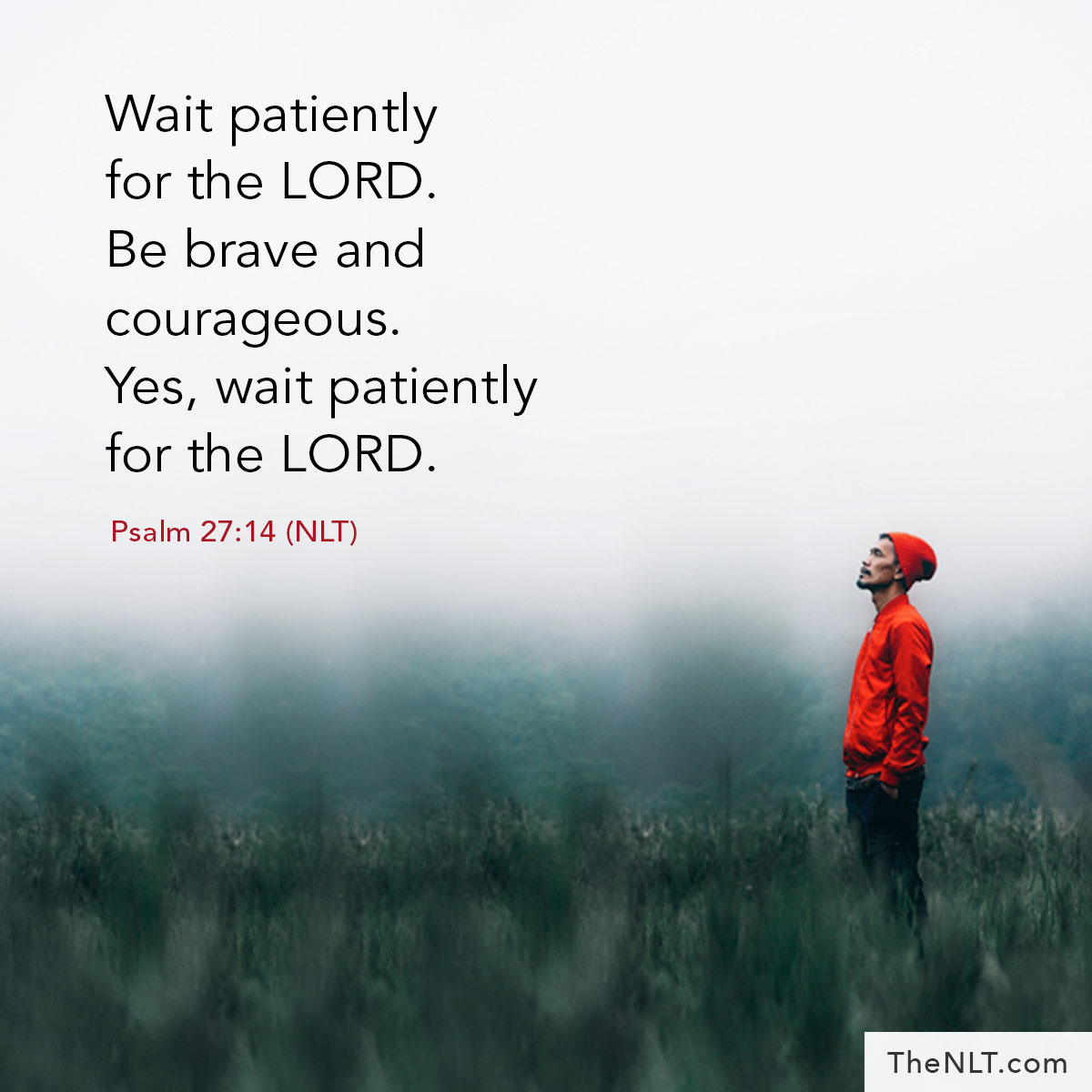 Wait Patiently On The Lord