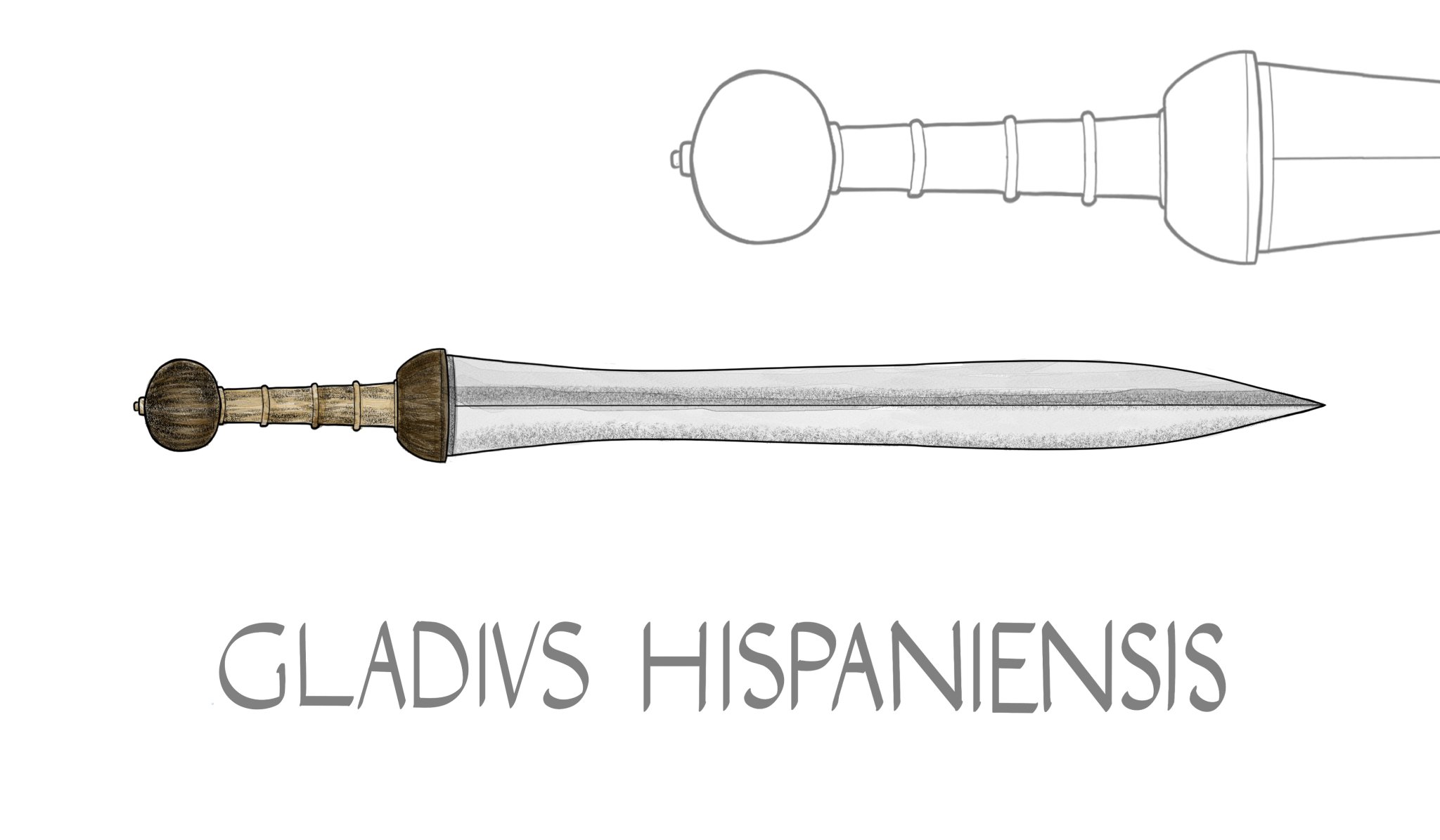 Roman Gladius Drawing