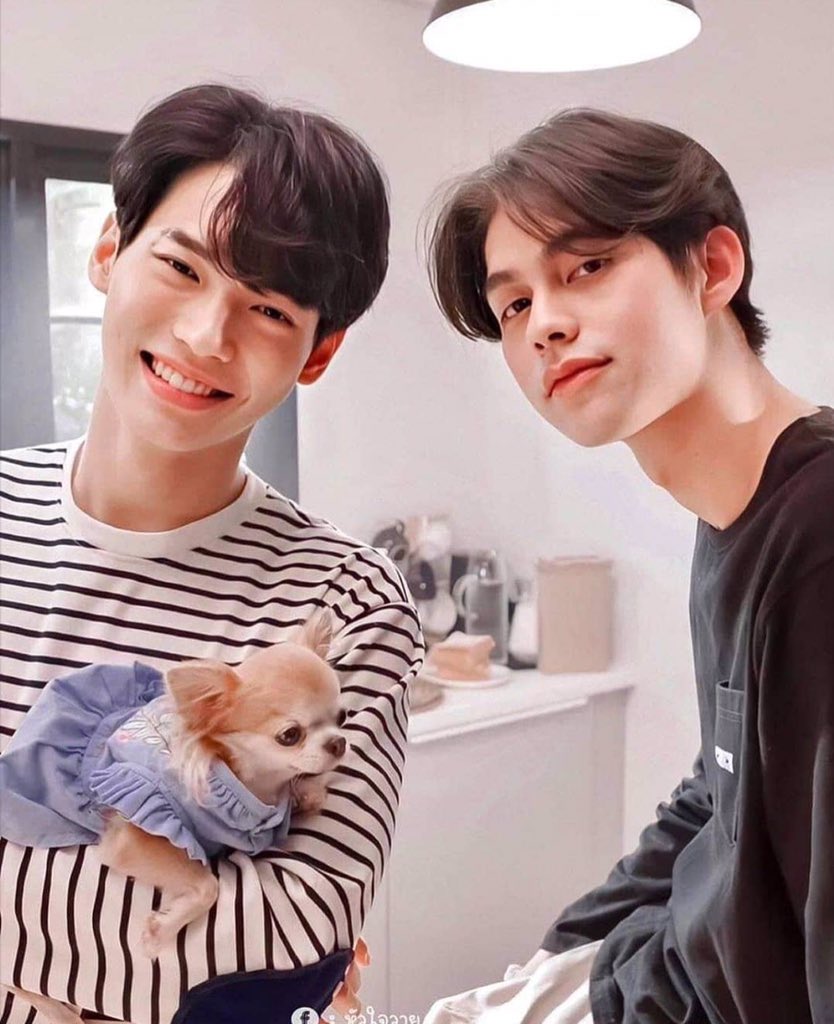 brightwin (@o_brightwin) | Twitter