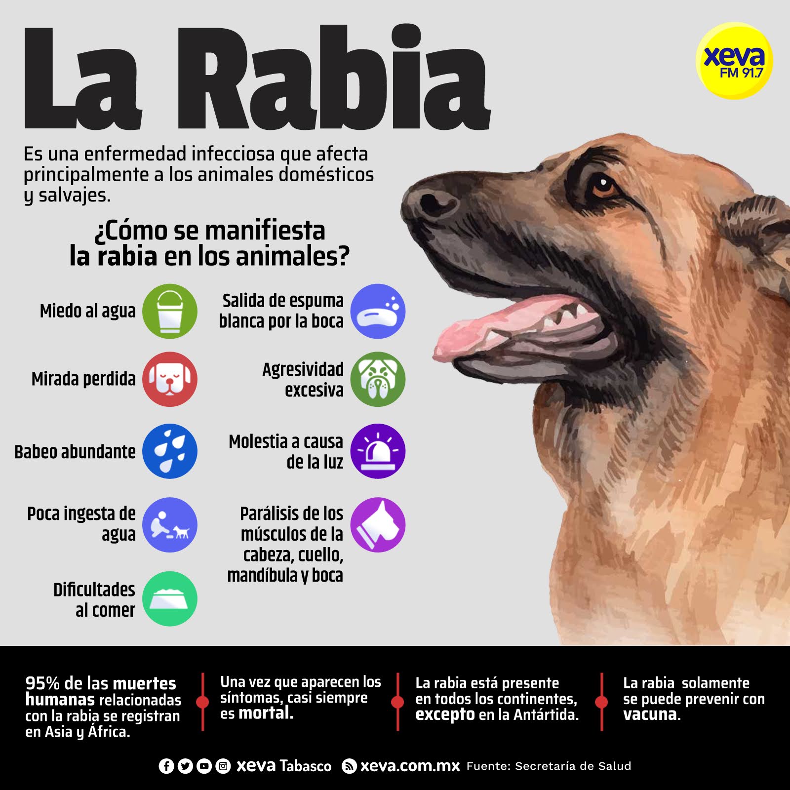 Todos Los Perros Tienen Rabia