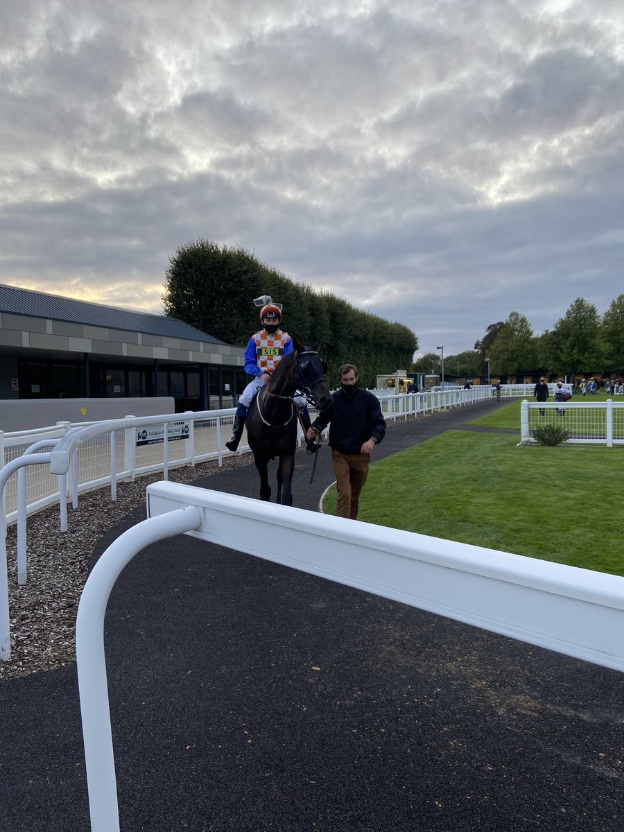 Salisbury Races – Welcome to Salisbury Racecourse