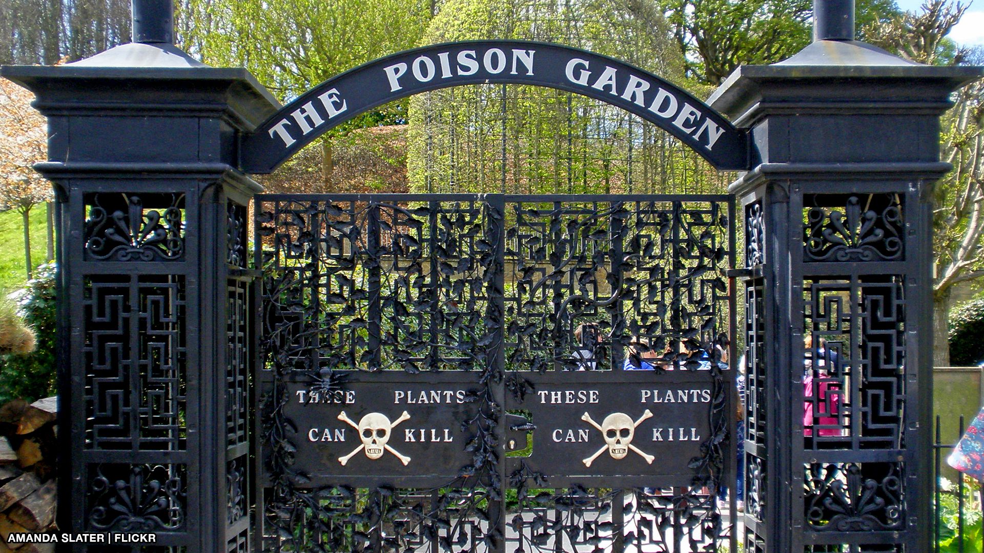Alnwick Castle Poison Garden
