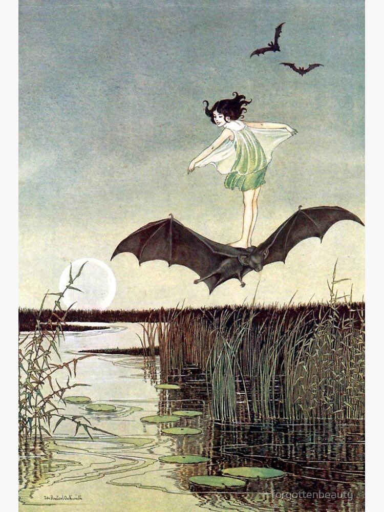 「Ida Rentoul Outhwaite (1888-1960) ? 」Taylor Reynoldsの漫画