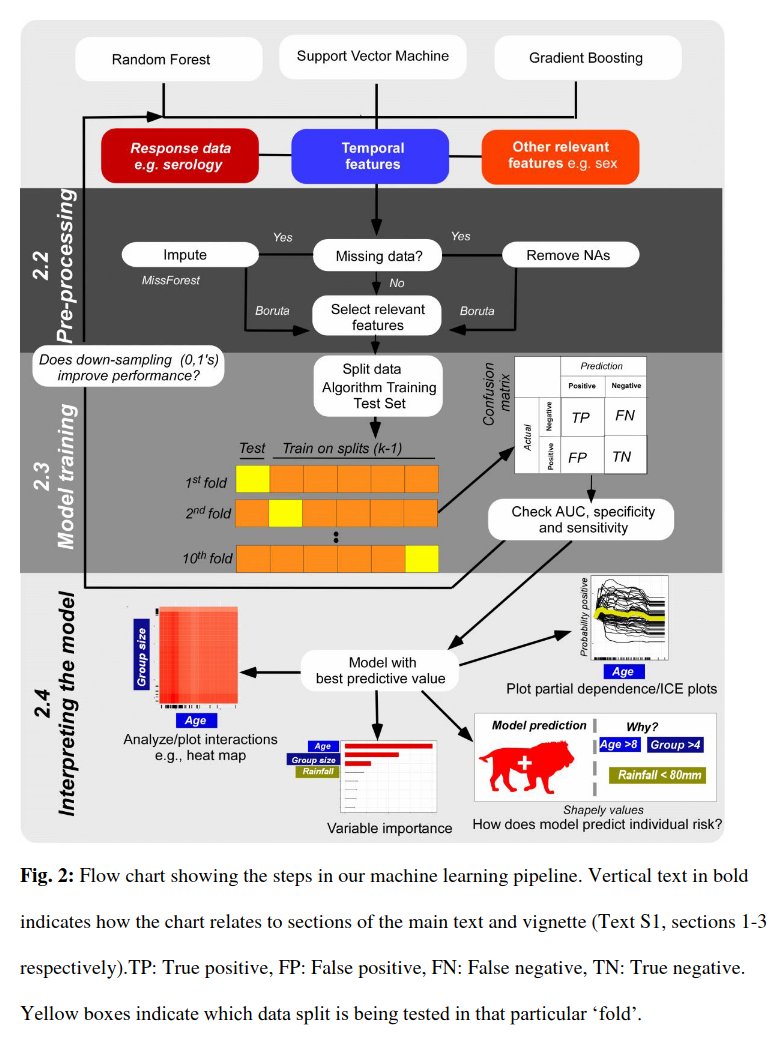 Thread by @ChristophMolnar on Thread Reader App – Thread Reader App