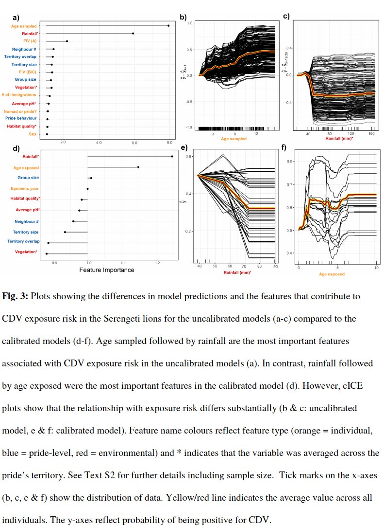 Thread by @ChristophMolnar on Thread Reader App – Thread Reader App