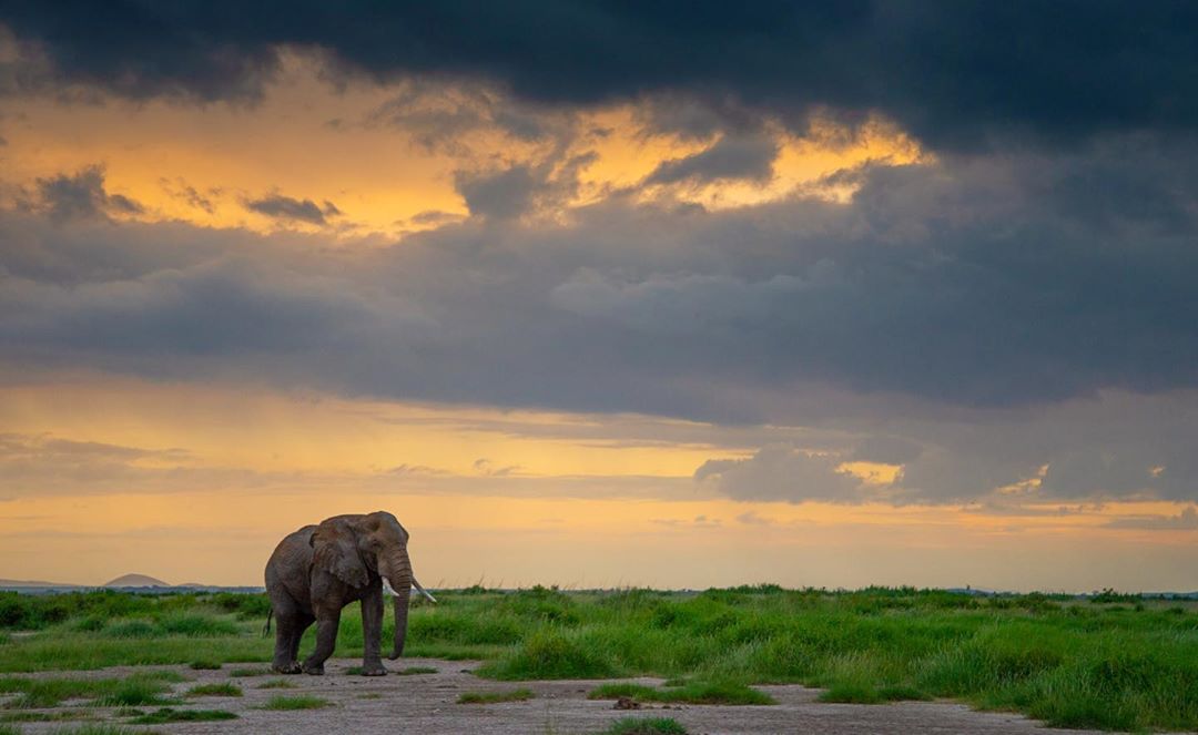 Javan Ekhalie (@ekhalie_javan) | Twitter