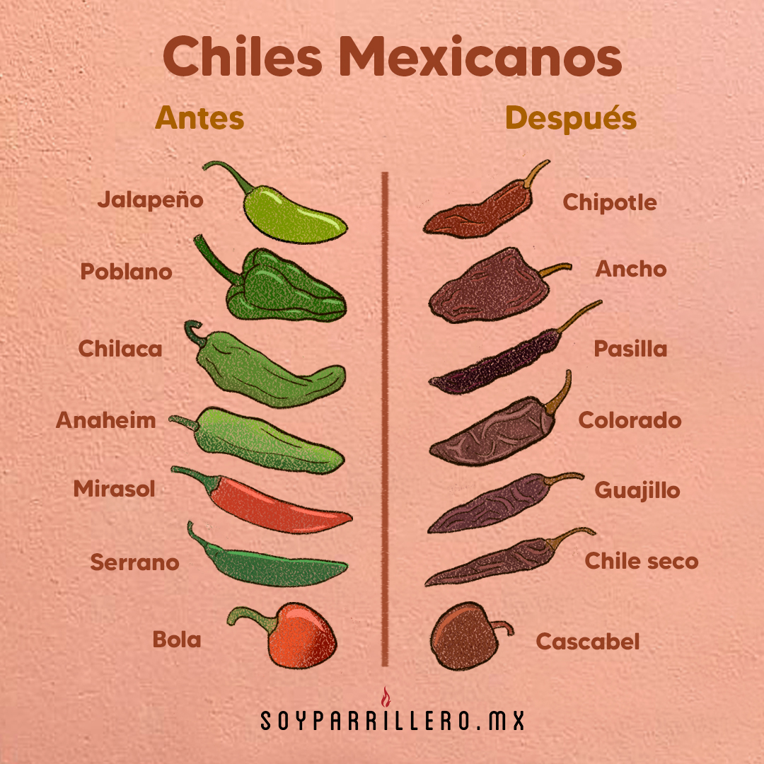 Chiles Mexicanos Y Sus Nombres