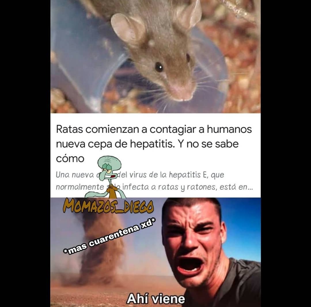 Disculpada Memes Los Memes Del 'Barbenheimer' Que Han Herido (y Con