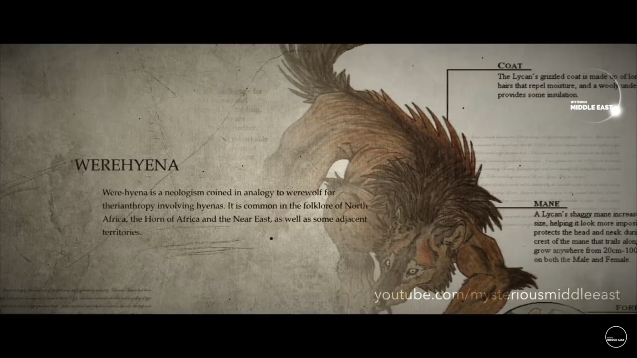 Female Therianthropy