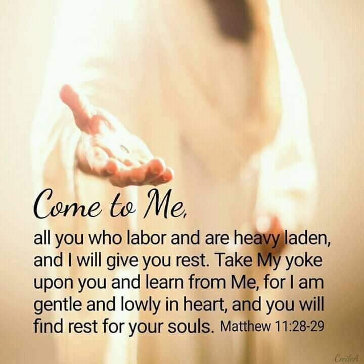 Matthew 11 28 29 Kjv