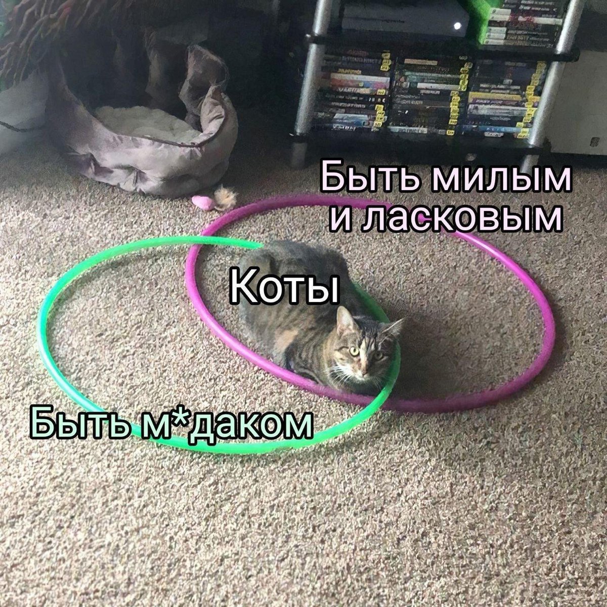 urlemonlime | Check Pinned🌿 (@tahlisf_) | Twitter