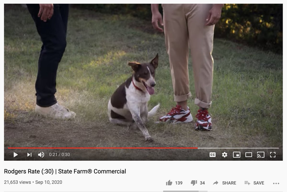 What Kind Of Dog Is In Aaron Rodgers Commercial