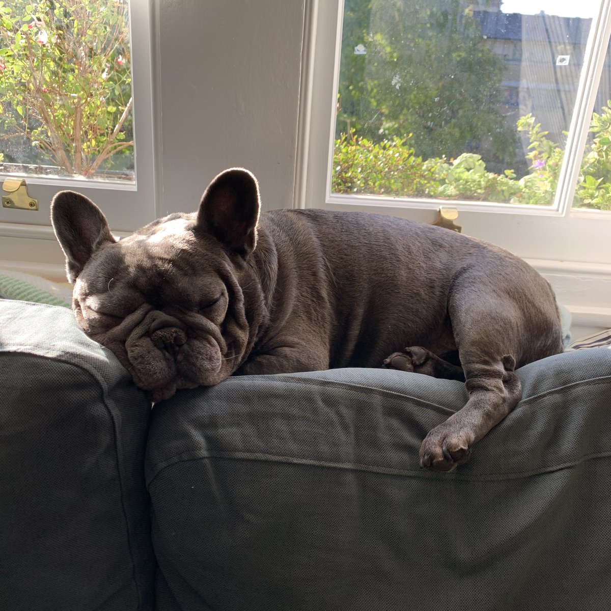 Philip Normal on Twitter: "#NormalizingHIVChallenge Name - Mayor Philip Normal Age - 38 Children ...