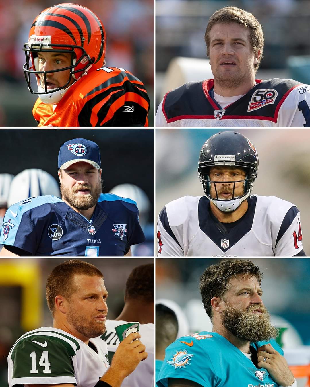 Ryan Fitzpatrick Titans