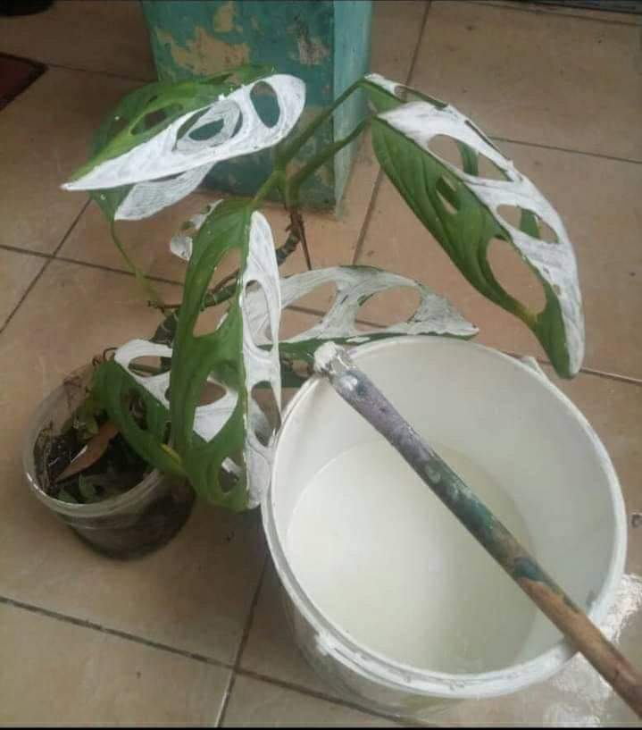 Eka Fitriyani (@Ekfit3) | Twitter