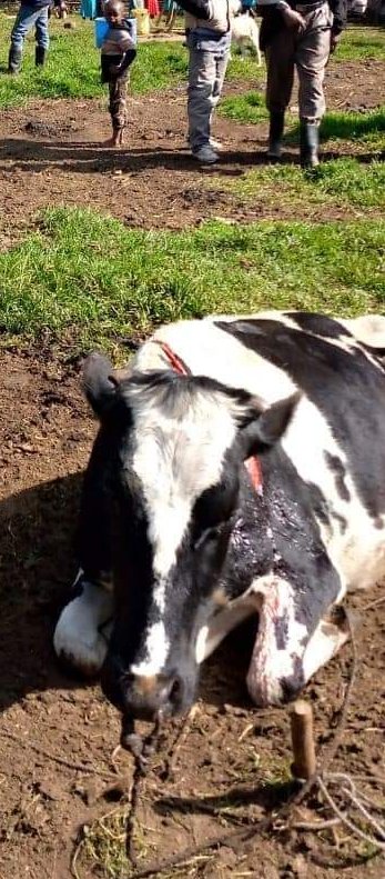 AKAMA MAXWEL OMONDI (@DRAKAMAMAXWEL) | Twitter