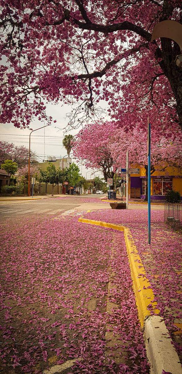 nil-da (@nil_sagitario) | Twitter