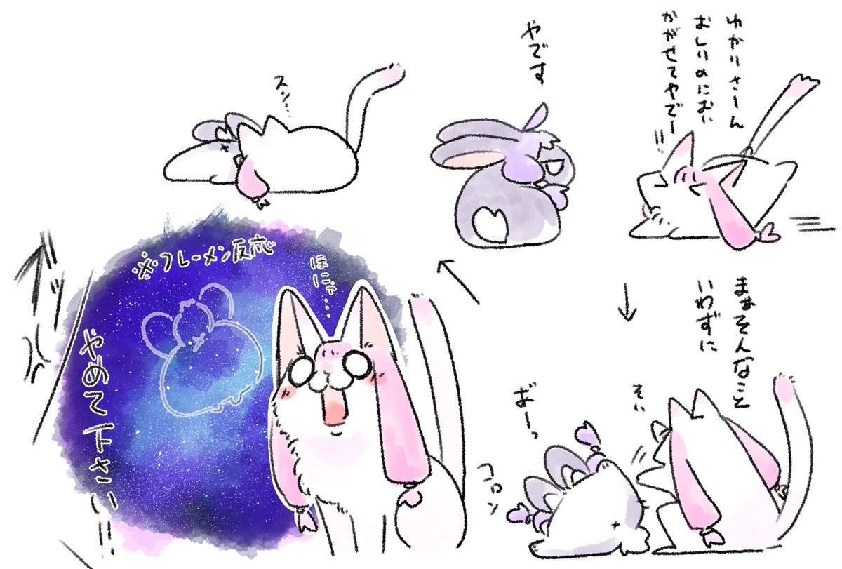 「いいにおい…なんだよね…? 」床の間Q C105 (月)西1 “の”17bの漫画