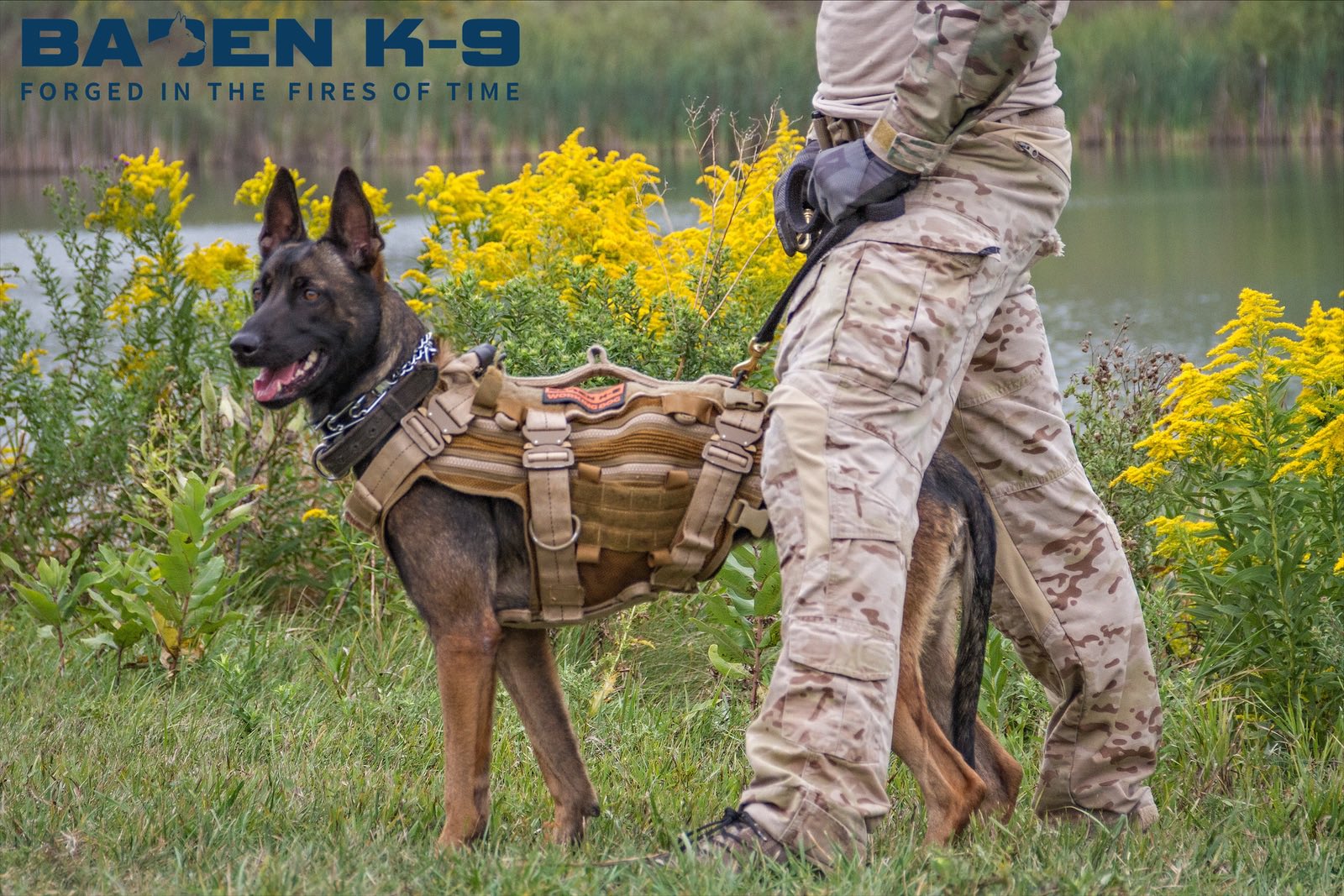 K9 Training Quotes The Cost Of Running A K9 Unit: Budgets And