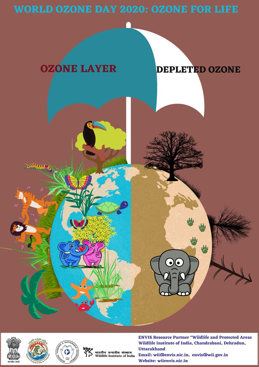 Ozone Layer Depletion Poster