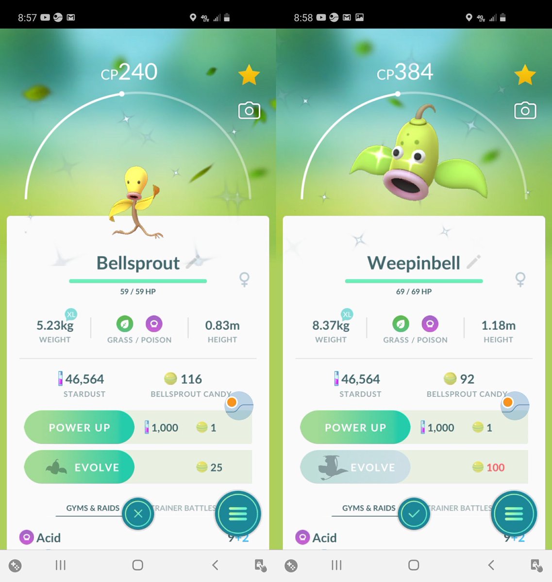 Shiny Bellsprout Evolution