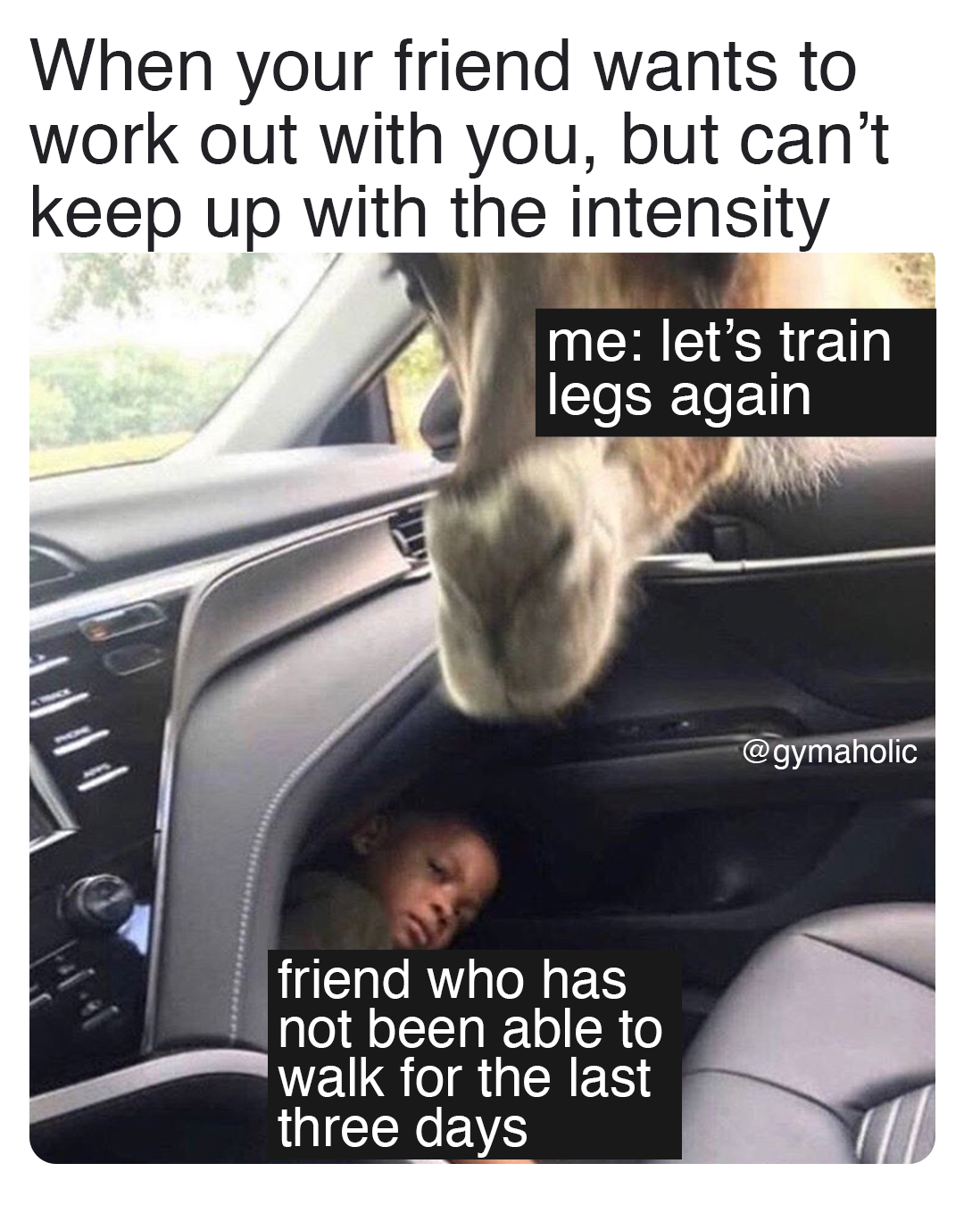 Intense Workout Memes Adulting Is An Extreme Sport Meme By GoatLEAD