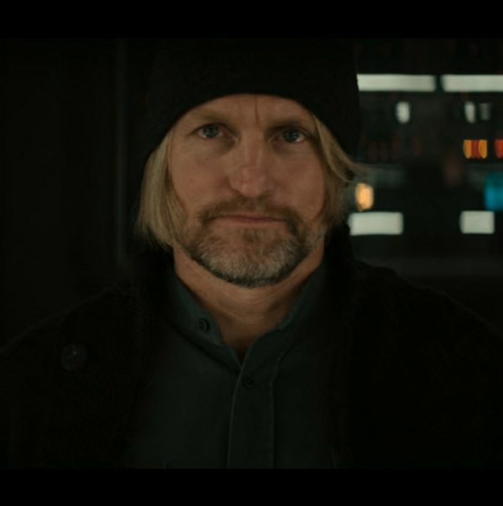 Haymitch Abernathy Actor