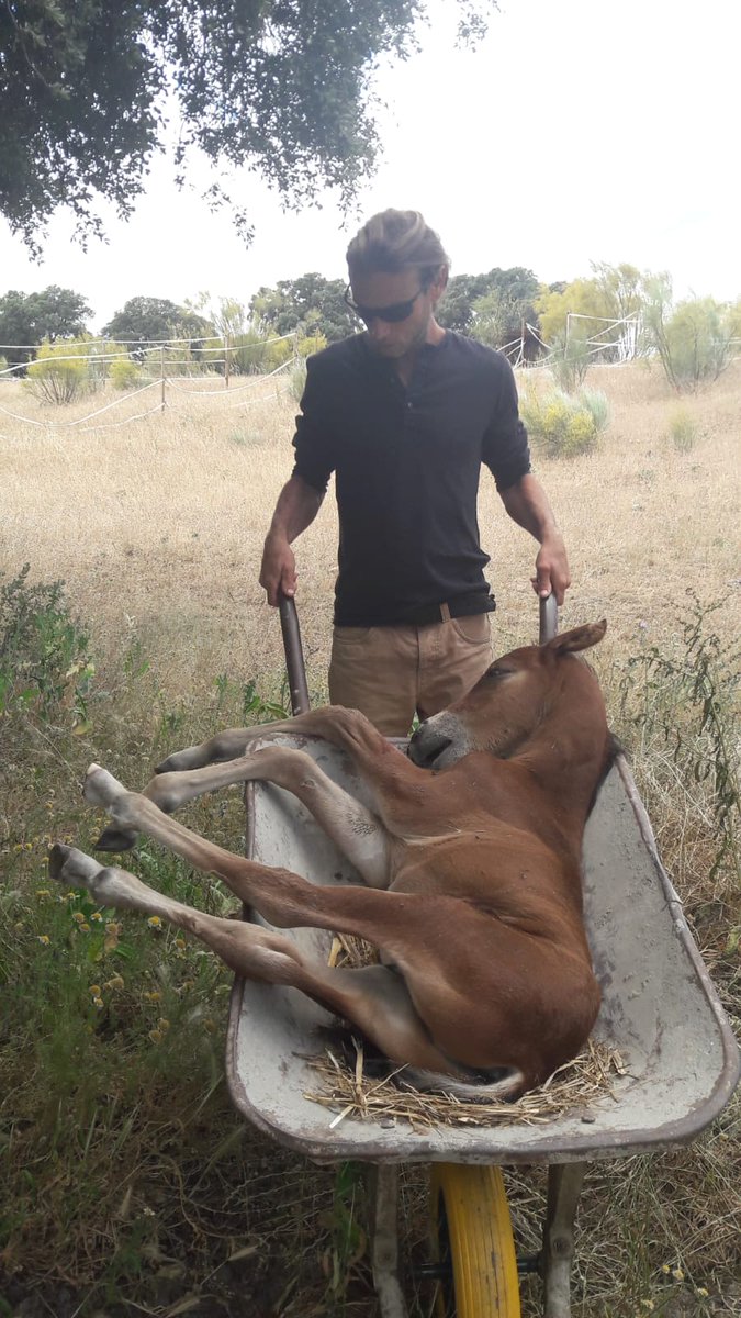 Asier Newman (@AsierNewman) | Twitter