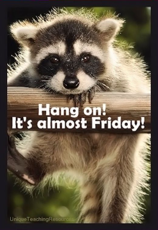 Almost Friday Pictures