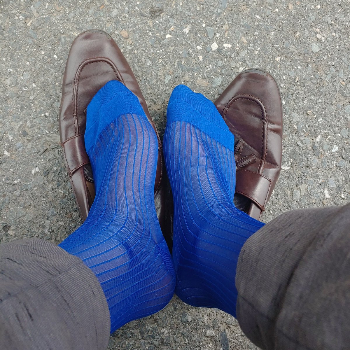 Dad Son Socks 🇬🇧🇺🇸🔞 On Twitter Son Wearing Royal Blue Tnt Sheers I Got From A Friend Today