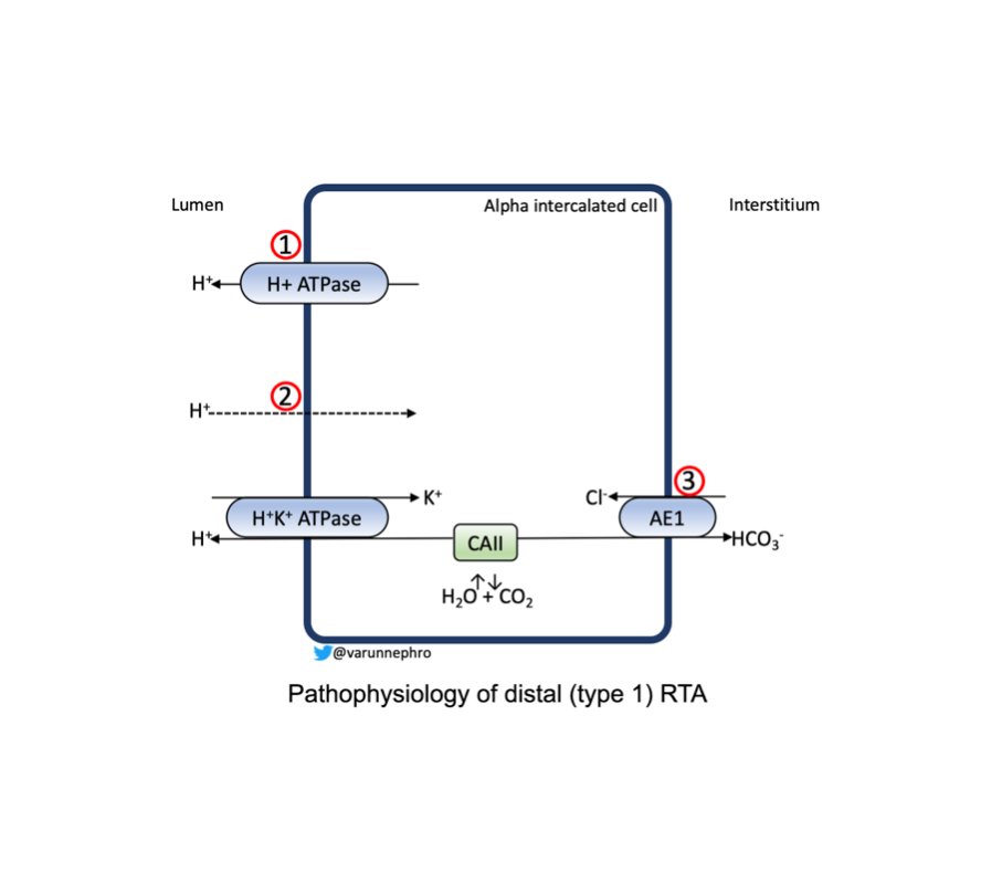 1/ Hi #medtwitter! We’re back with a new case @TheSkeletonKG. Call from ...