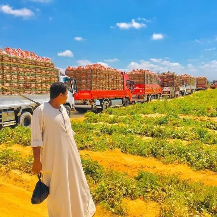 Ahmed Baskota (@PeMZMeLmG2BJEi8) | Twitter