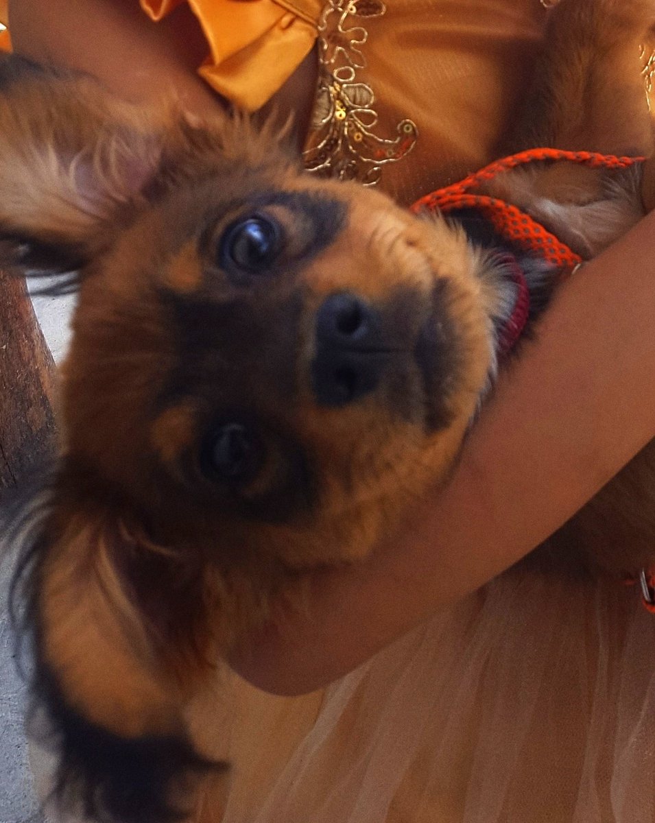 Yissel Fiallos. (@FiallosYissel) | Twitter