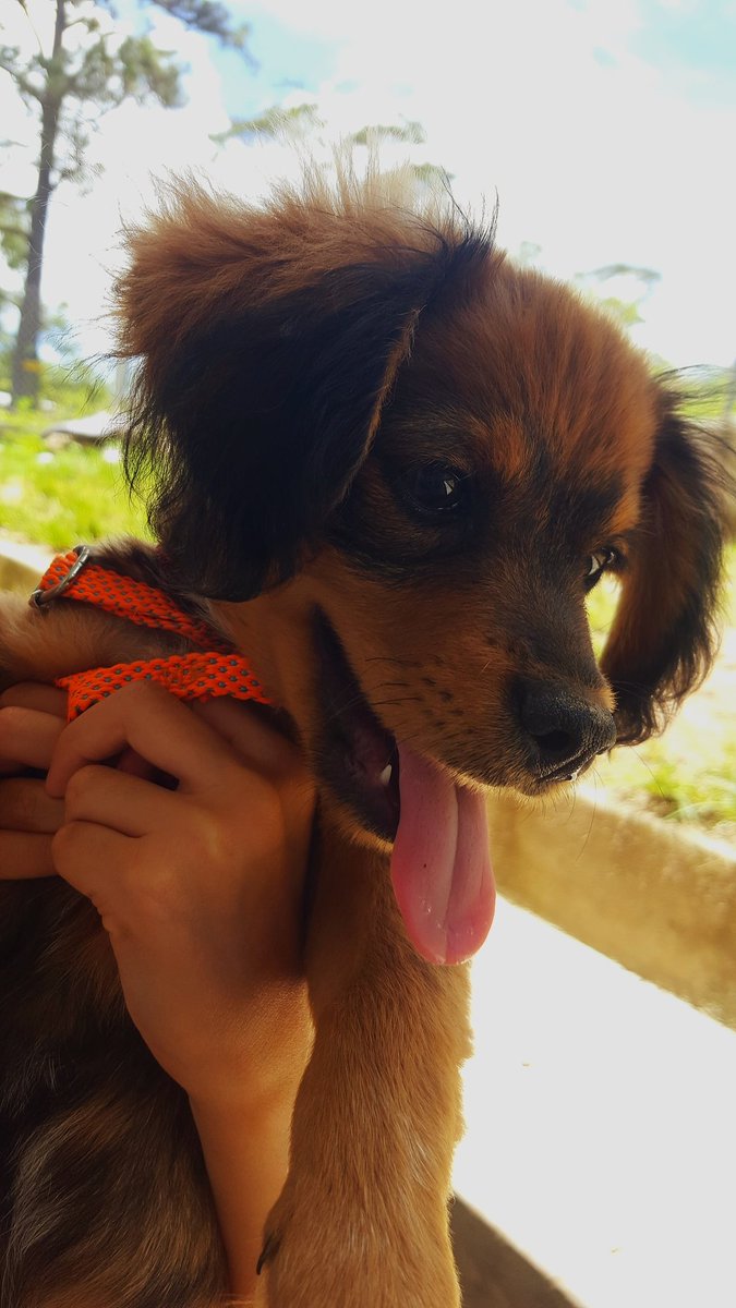 Yissel Fiallos. (@FiallosYissel) | Twitter