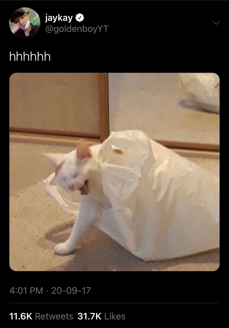 misu 📚 on Twitter: "028 — hhhhhh…