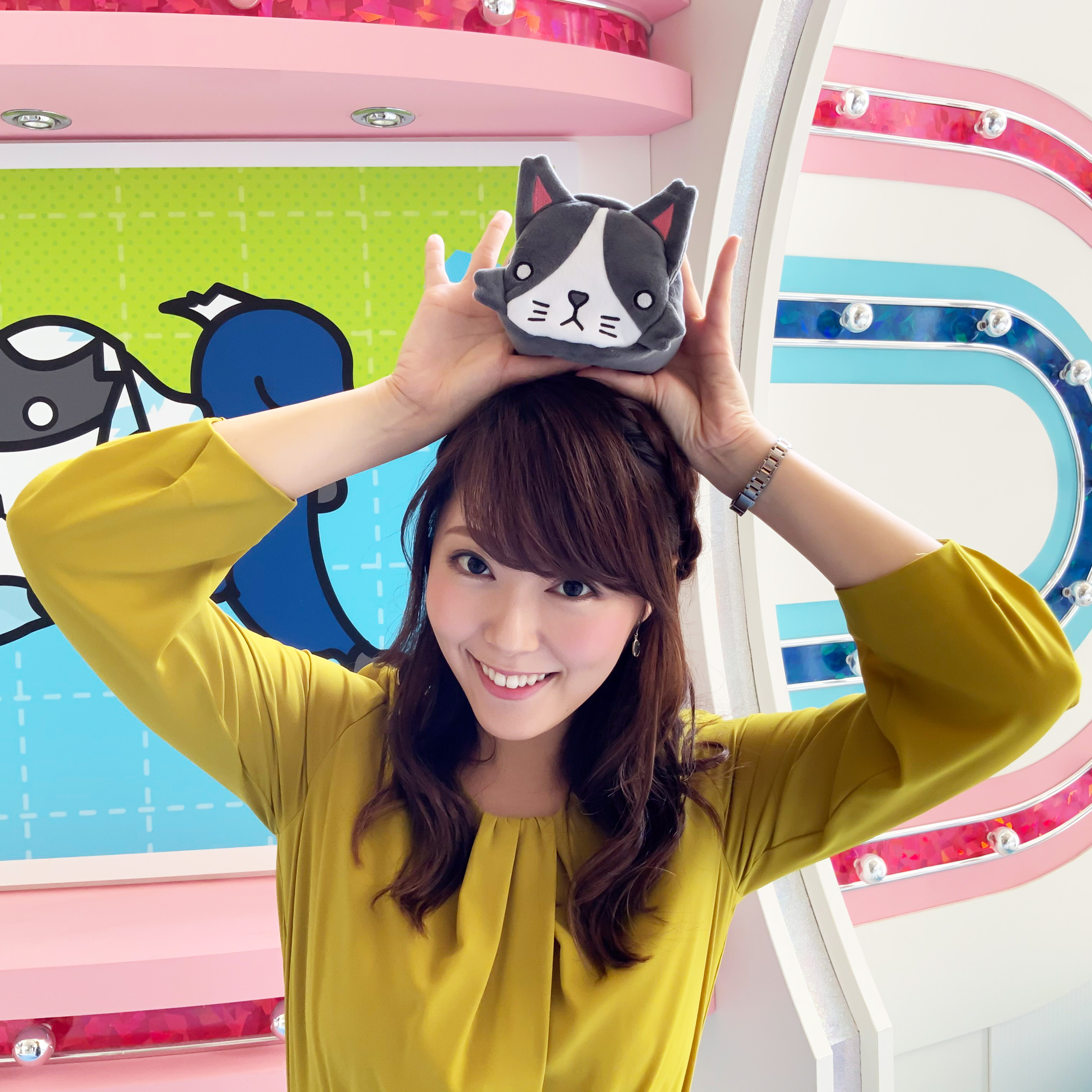 猫のひたいほどワイド on X: 猫のひたいほどワイド on X: