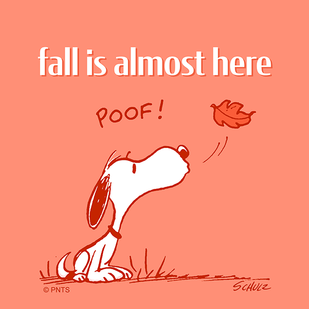 Snoopy Fall Pictures