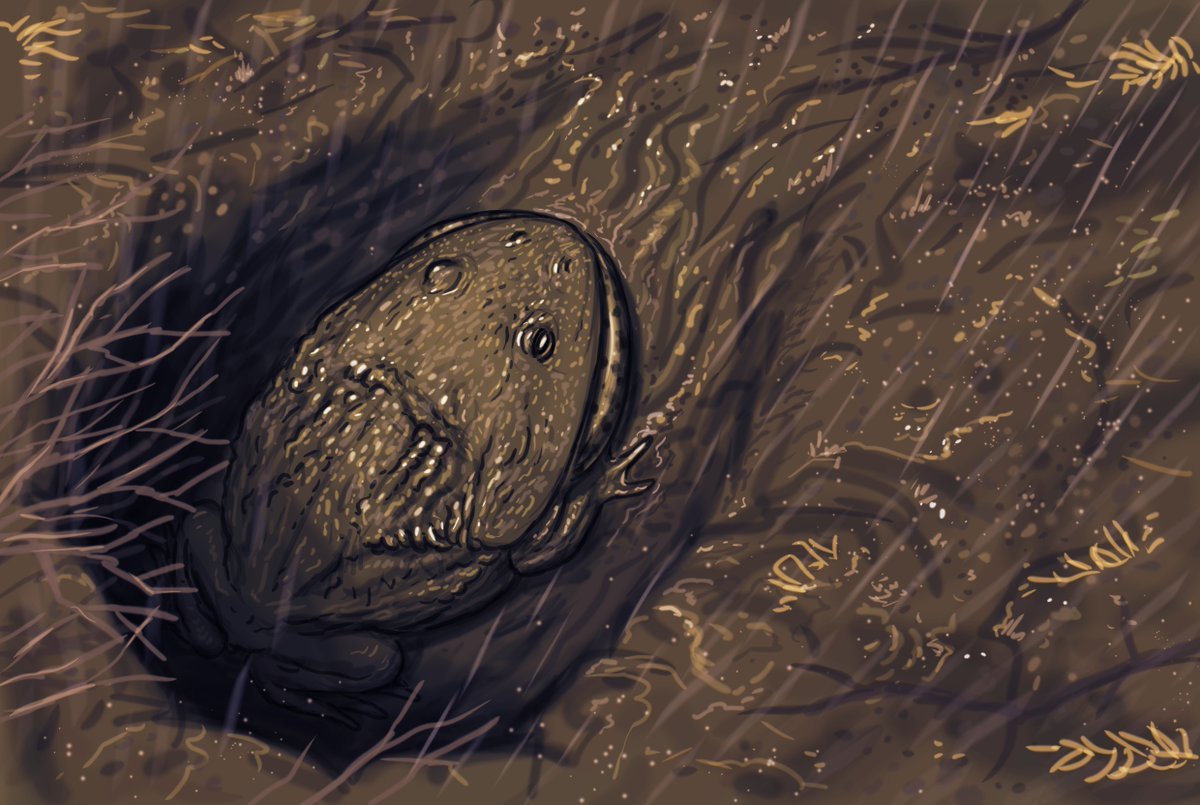 Giant Prehistoric Frog