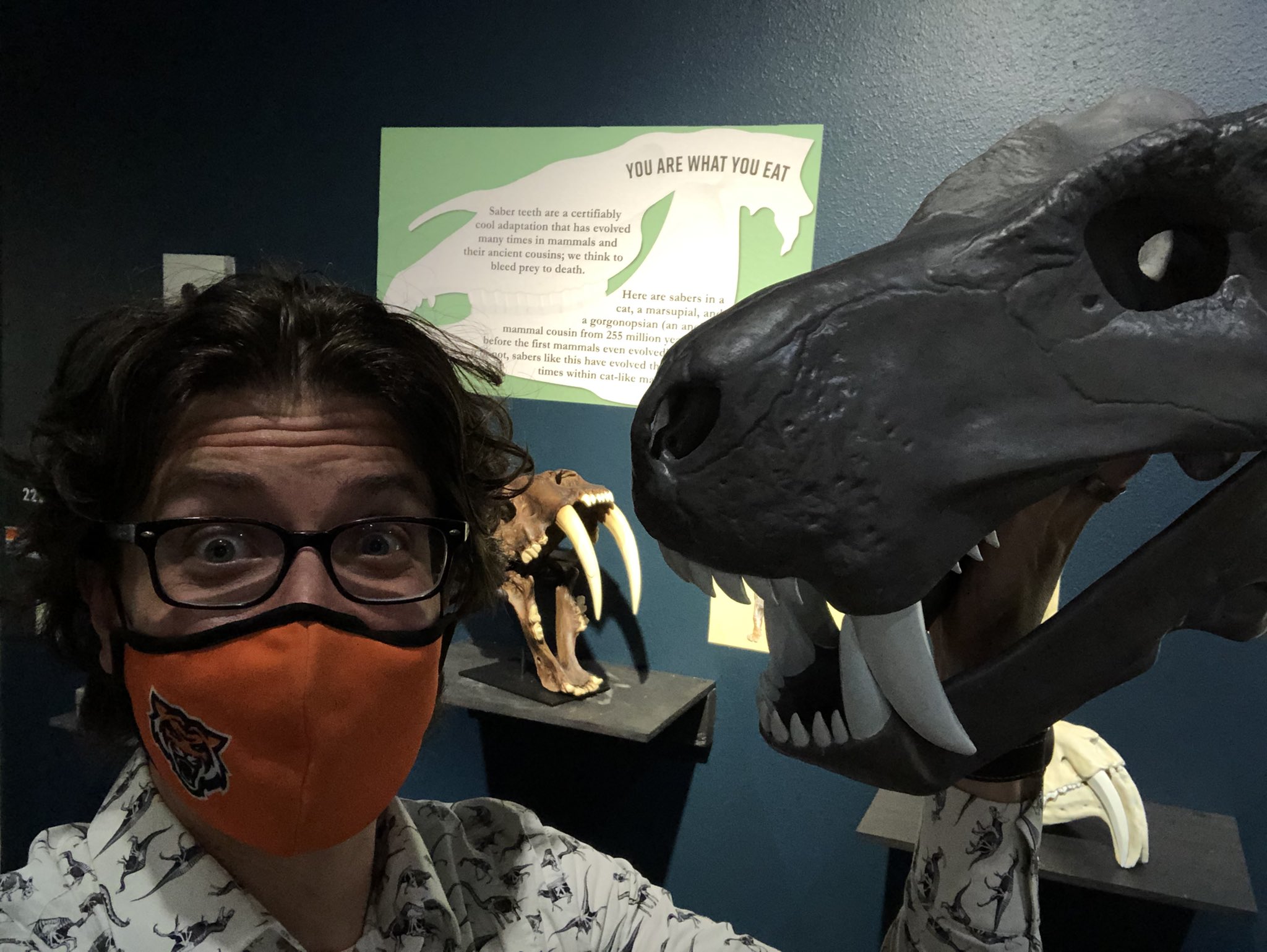 Saber Tooth Tiger Skull Mask