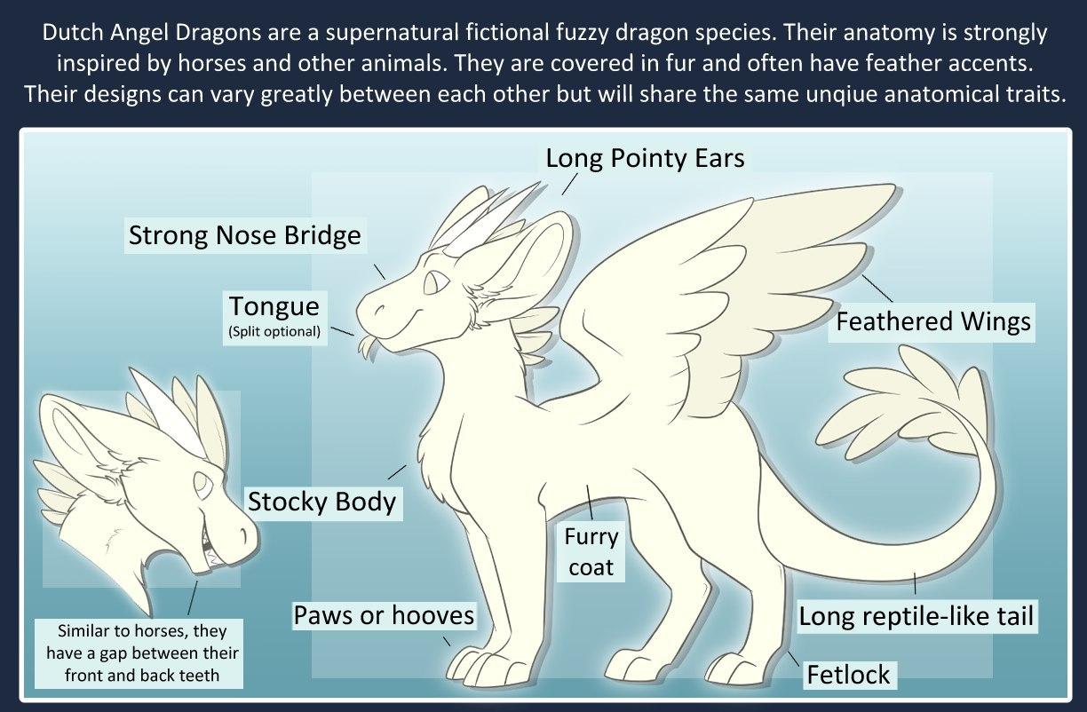 Dutch Angel Dragon Anatomy Sonar The Dutch Angel Dragon 2.0 By