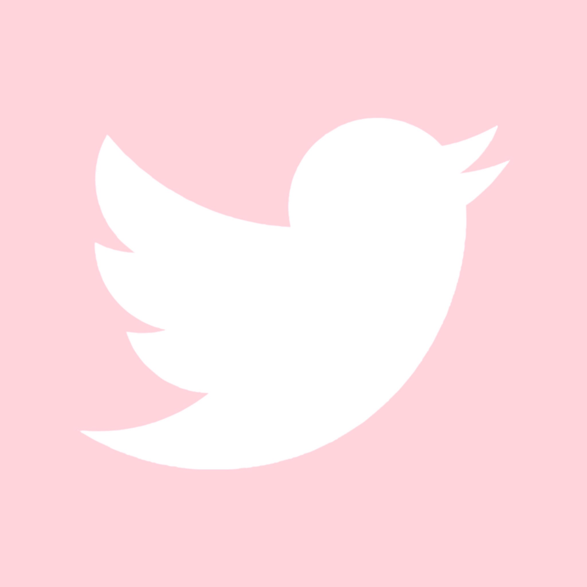 Cute Twitter Logo