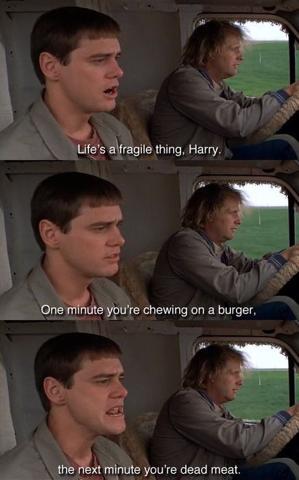 Dumb And Dumber Captions Dumb And Dumber Captions
