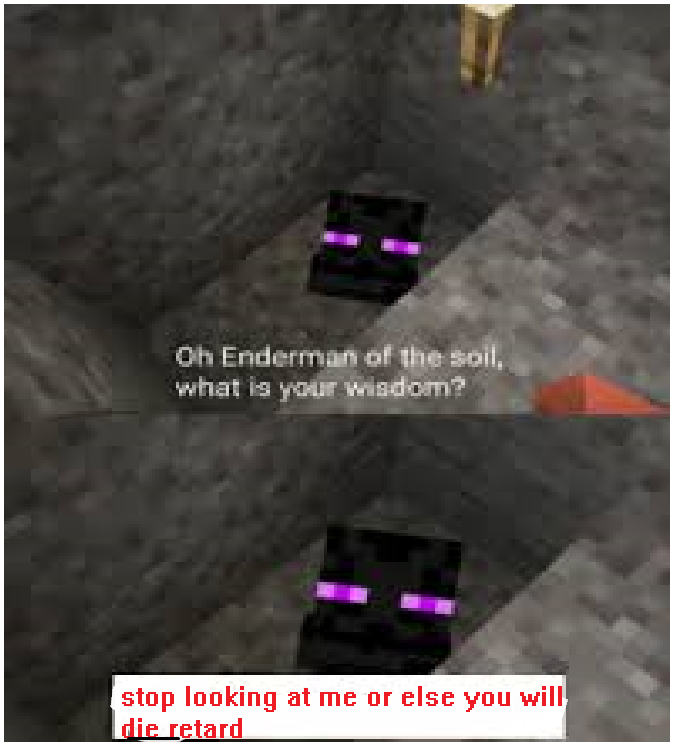Funny Minecraft Enderman Memes