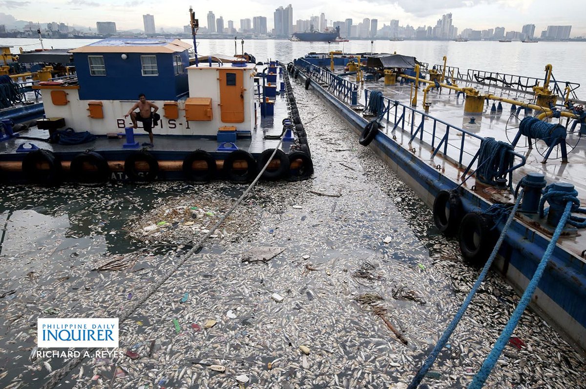 baseco : Latest news, Breaking news headlines | Scoopnest